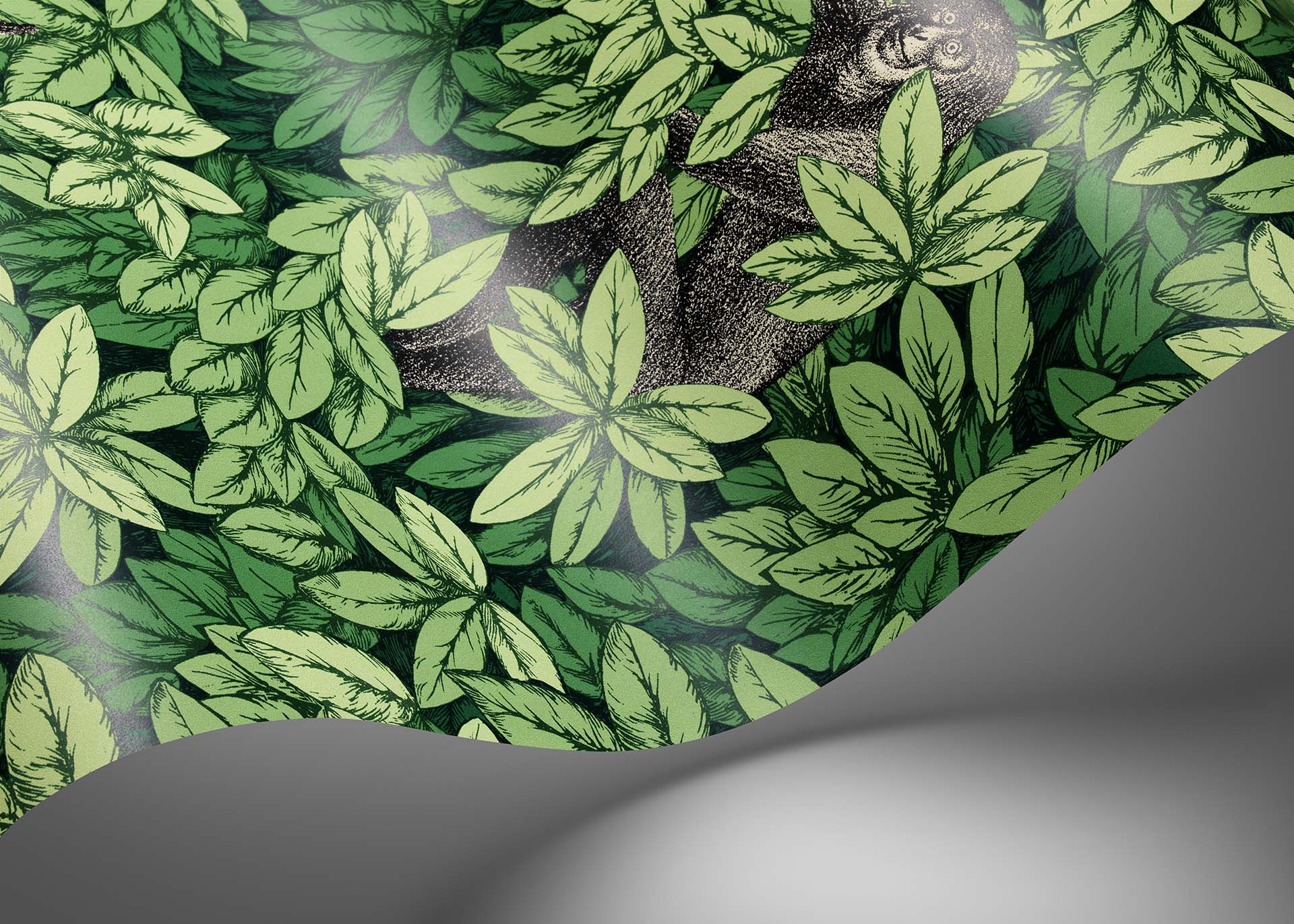 Foglie e Scimmie Wallpaper by Cole & Son in Forest Green | TM Interiors